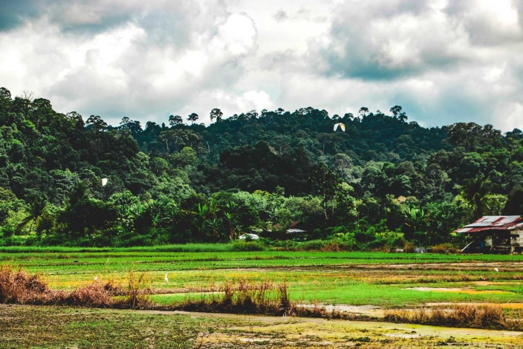 Merlin Franco – Institute Of Asian Studies